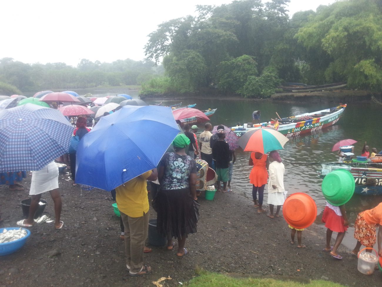 Fishing In Cameroon: A Chronicle of Administrative Corruption And ...