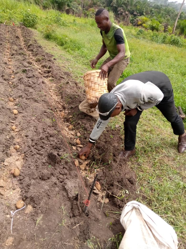 United Agro-pastoral Farmers Cooperative Partners With ‘La Ferme de ...