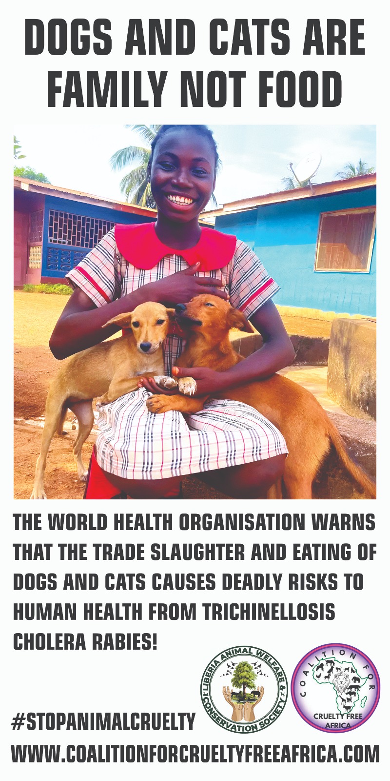 CFCFA pushes Afrian gov’ts to outlaw dog, cat meat trading – Cameroon ...